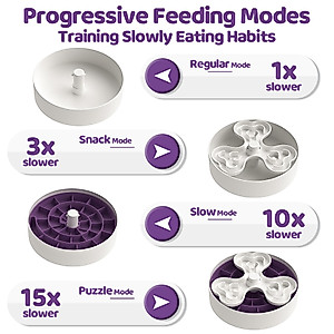 Puzzle Feeder Slow Feeder Dog Bowls for Large Breeds, Detachable Design Dog Bowls with 4 Slow Feeding Modes, Suitable for Dry, Wet, and Raw Food, Stress Relieve and Dishwasher Safe