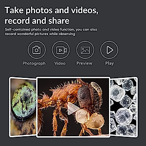 Handheld Digital Microscope, 800X HD Digital Microscope for Adults, with 2" LCD Screen Pocket Microscope for Kids, USB Lab Handheld Digital Microscopes Equipment, with 32GB SD Card