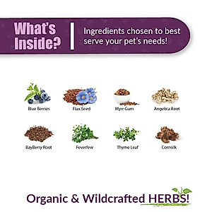 Amber NaturalZ Pet C&C Herbal Supplement for Dogs, Cats, Birds, Guinea Pigs, and Rabbits | Pet Herbal Supplement for Healthy Sinus | 1 Fluid Ounce Glass Bottle |Manufactured in The USA