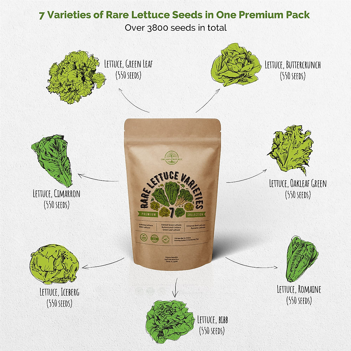 Organo Republic 7 Lettuce Seeds Variety Pack - Non-GMO Heirloom for Lettuce Hydroponic, Aerogarden, Indoor & Outdoors. 3800+ Seeds: Bibb, Romaine, Iceberg, Green Oakleaf, Red Leaf Lettuce