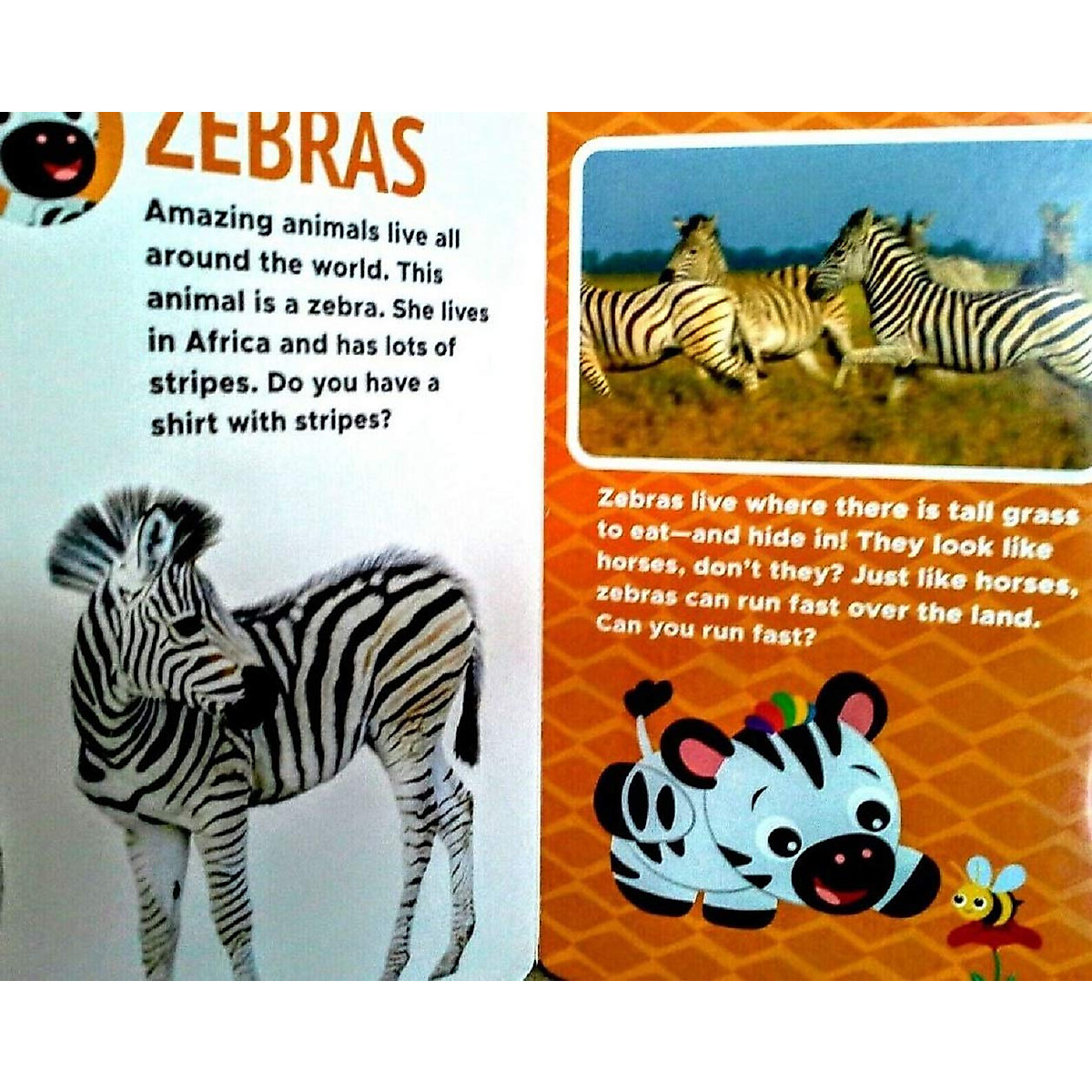 Dreamtivity Baby Einstein Video Fun Board Books, 4-Book Set