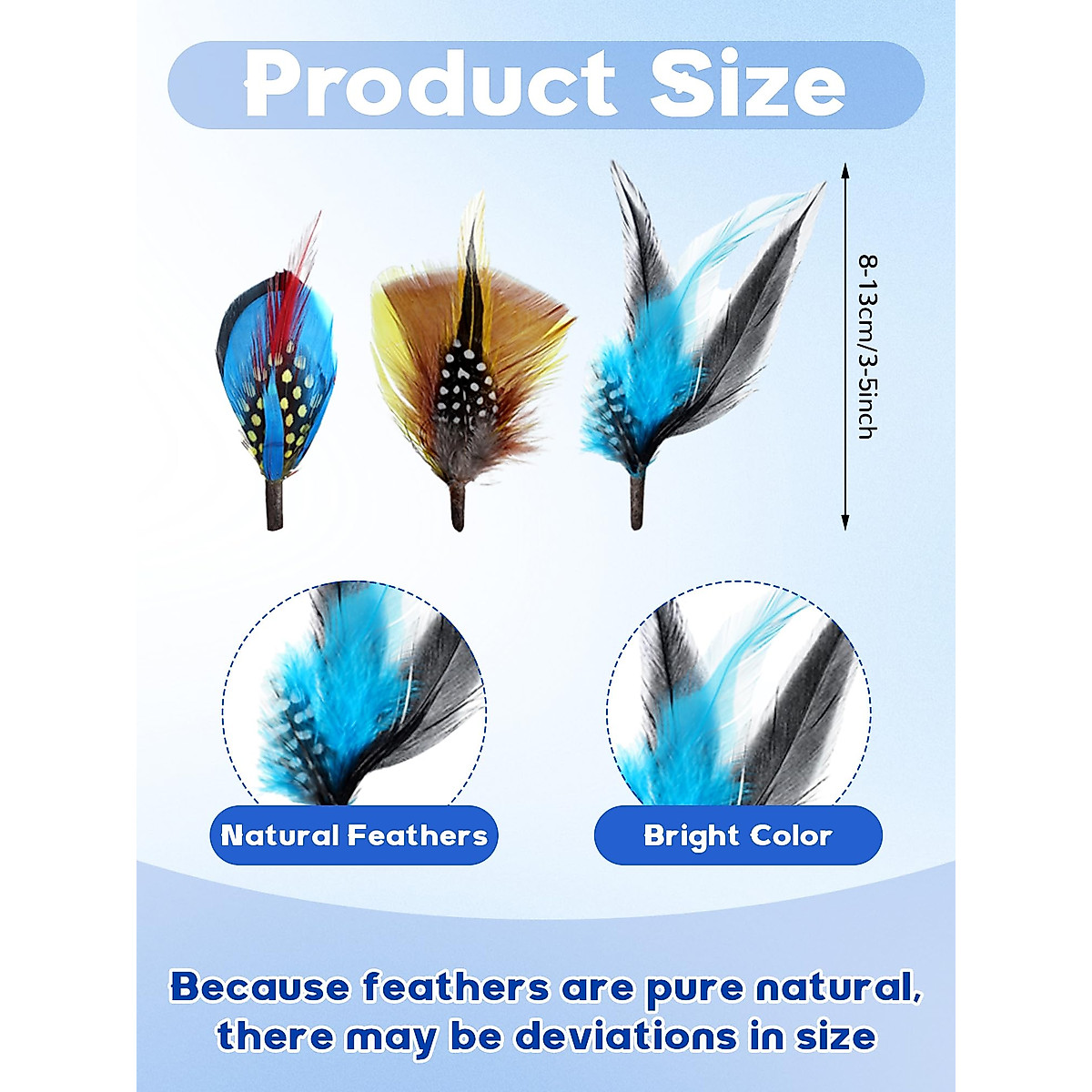 Breathffy 24 Pcs Stretchable Hat Bands Natural Assorted Hat Feathers Hat Ribbons for Panama Hat Western Costume Headwear (Classic)