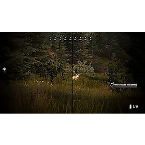 Hunting Simulator 2 (Xbox Series X)