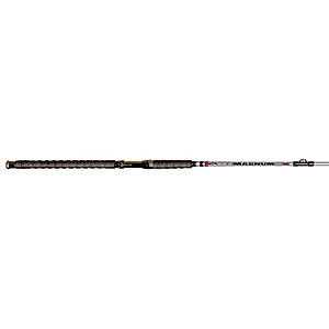 BnM Silver Cat Magnum 10 ft Spinning Rod