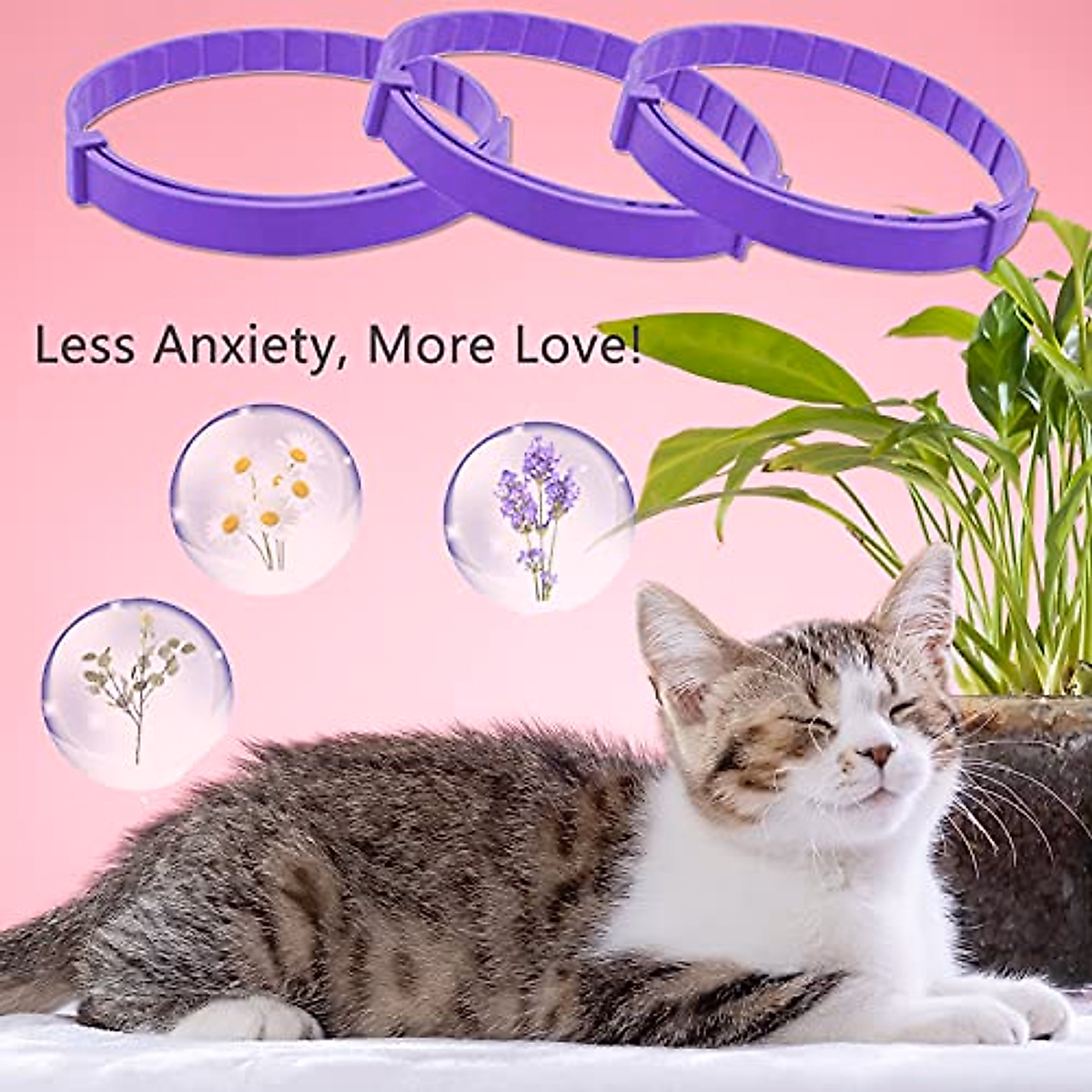 Wustentre 3 Pack Calming Collar for Cats, Cat Calming Collars, Cat Pheromones Calming Collar, Adjustable Cat Anxiety Collar for Cats and Kittens Stress Reliever Relaxing Comfortable Collar (Violet)