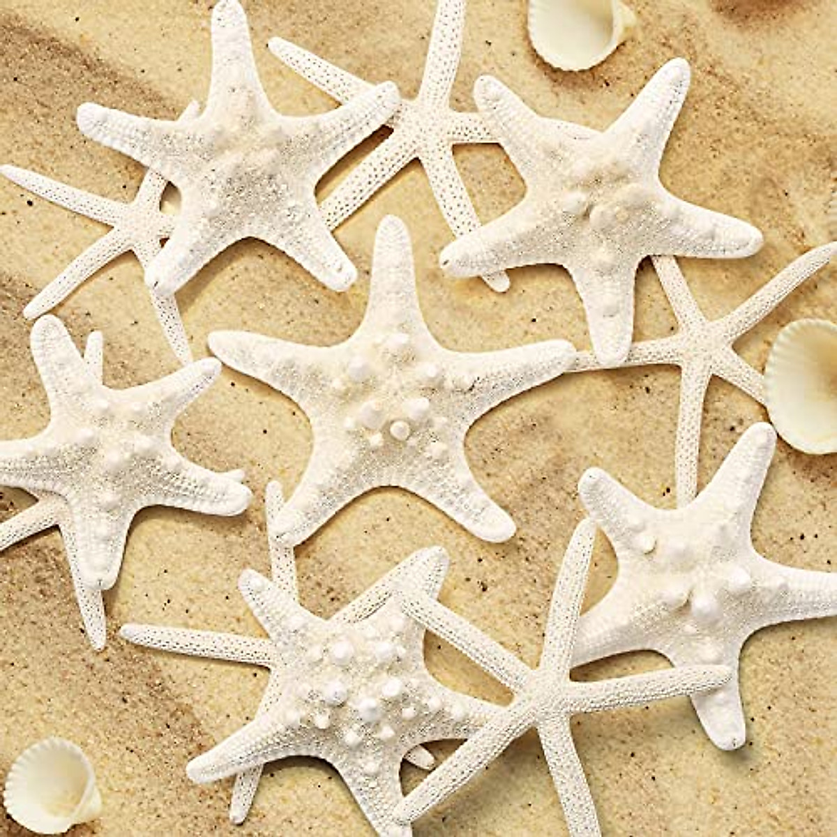 gopiter 12 PCS Starfish | 2.5-6 Inch Starfish Decor | Natural Bulk Starfish Shells Perfect for Crafts Making Beach Theme Party Wedding Decoration, Home Wall Decor, Christmas Ornaments, Fish Tank
