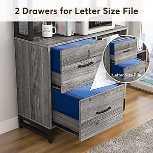 Tribesigns 2 Drawer File Cabinet for Letter Size, Vertical Filing Cabinet with Bookshelf, Large Industrial Printer Stand with Open Storage Shelves for Home Office, Grey