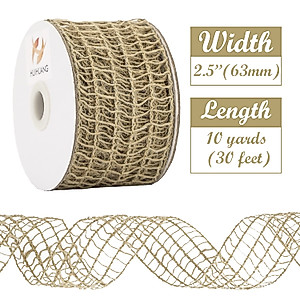 HUIHUANG Mesh Burlap Wired Ribbon With Edge - Rustic Jute Netting 2.5 Inch for Wreaths, Bows, Christmas Tree, Fall Wreath, Crafts, Gift Wrapping, Home Decor - 10 Yards