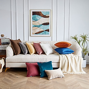 ECOGEOUS Decorative Pillows for Bed,Decor Pillow for Livingroom, Decorative Pillow for Couch,18"x18" in Chocolate Brown,Pack of 2