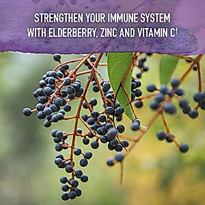 Garden of Life Elderberry Zinc Immune Support for Adults and Kids 12 and Older with Vitamin C - mykind Organics Elderberry & Sleep Immune Syrup Liquid with Sleep Herbs, No Added Sugars, 6.59 fl oz
