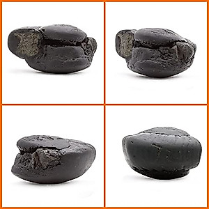 Vedic Vaani Lord Vishnu Avatar Matsya Shaligram Shila for Puja (Pack of 4)