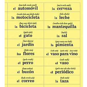 SPANISH in 10 minutes a day: Language course for beginning and advanced study. Includes Workbook, Flash Cards, Sticky Labels, Menu Guide, Software, ... Grammar. Bilingual Books, Inc. (Publisher)