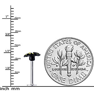 Body Candy Womens 16G 316L Stainless Steel Yellow Black Spider Labret Monroe Lip Ring Tragus 5/16”