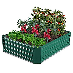 GROWNEER 4 x 3 x 1 Feet Green Metal Raised Garden Bed with 4 Pcs Garden Stakes, 1 Pair of Gloves and 15 Pcs Plant Labels, Elevated Planter Box for Vegetables, Fruits, Flowers, Herbs