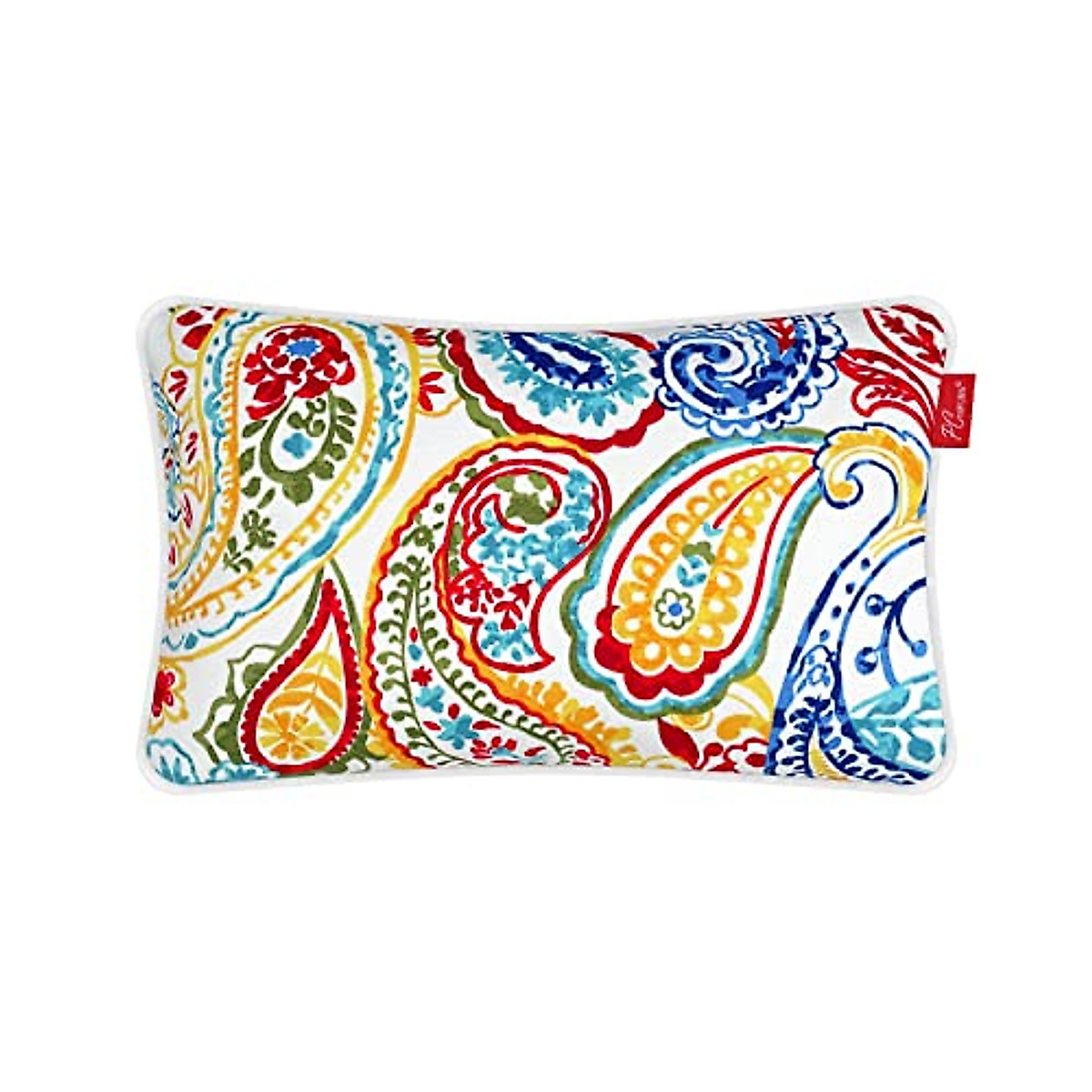 Pcinfuns Outdoor Lumbar Pillow Covers,Patio Garden Decorative Pillow Cover,Fade-Resistant Pillowcase 12x20 Inch for Outdoor Home Patio Coach Sofa,Paisley Multi,Pack of 2