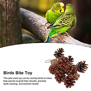 Parrots Pine Cone Chewing Toy, Hamster Chew Toys Hanging Wooden Pine Cones Bird Cage Funny Chewing Toy for Parakeet Cockatiel Grey Lovebirds Budgies Cockatoos(S)