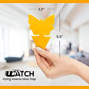 UCatch Gnat Sticky Traps for Plants - Effective Gnat Traps for House Indoor and Outdoor Garden with Super Sticky Adhesive | Yellow Fruit Fly Trap for Mosquitos, Black Flies, Fungus Gnats | 2 X 21