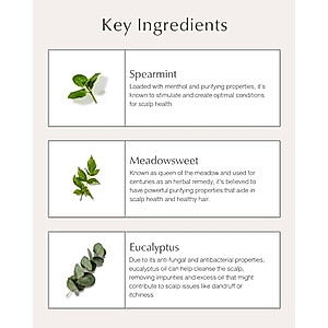 John Masters Organics Scalp Stimulating Shampoo 16 oz | Organic Spearmint & Meadowsweet | 70% Organic Ingredients | Clarifying Shampoo | Improve Scalp Health | Sulfate-free, 16 Fl Oz