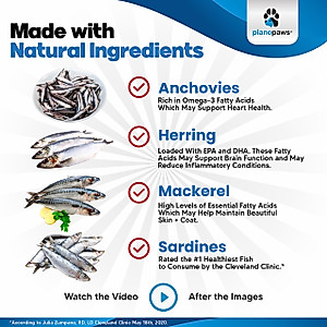 Omega 3 Fish Oil for Dogs - Better Than Salmon Oil for Dogs - Dog Fish Oil Supplement for Shedding, Allergy, Itch Relief - Supports Dry Skin, Joints - Dog Skin and Coat Supplement - Fish Oil Liquid