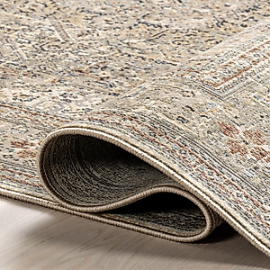 nuLOOM Carol Traditional Medallion Area Rug, 8x11, Beige