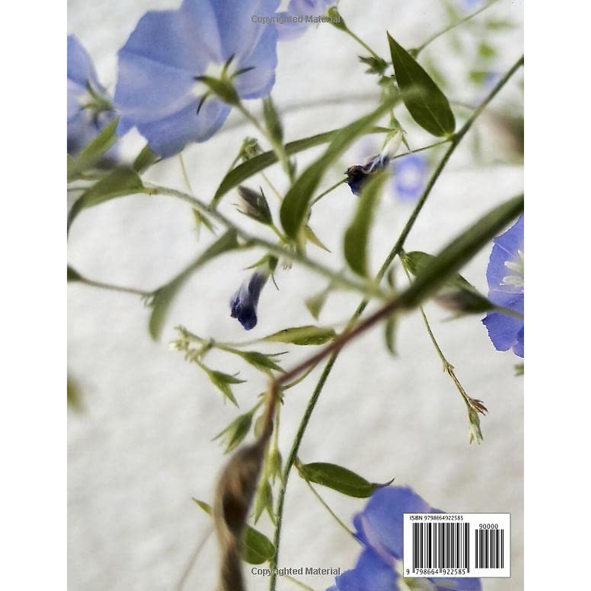 Visitor Log Book : visitor book sign in and out for business,offices,Reception desk Guest house -smaller company Business Sign In/Out Register: ... Front Desk Security, Business, Doctors