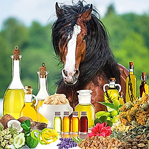 The Blissful Horses Hoof Butter All Natural Support for Your Horse's Hooves, 2-Ounce