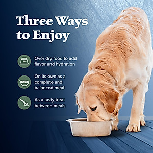 Blue Buffalo Wilderness Adult Wet Dog Food, High-Protein & Grain-Free, Made with Natural Ingredients, Duck & Chicken Grill, 12.5-oz. Cans, 12 Count