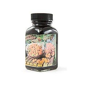 Noodler's Fountain Ink, 3 oz Bottle, Habannero (19021)