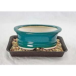 5.75" Oval Teal Green Shohin Bonsai/Succulent Pot + Tray + Rock + Mesh Combo