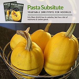 Survival Garden Seeds - Spaghetti Squash Seed for Planting - Packet with Instructions to Plant and Grow Low Carb Healthy Winter Squash in Your Home Vegetable Garden - Non-GMO Heirloom Variety