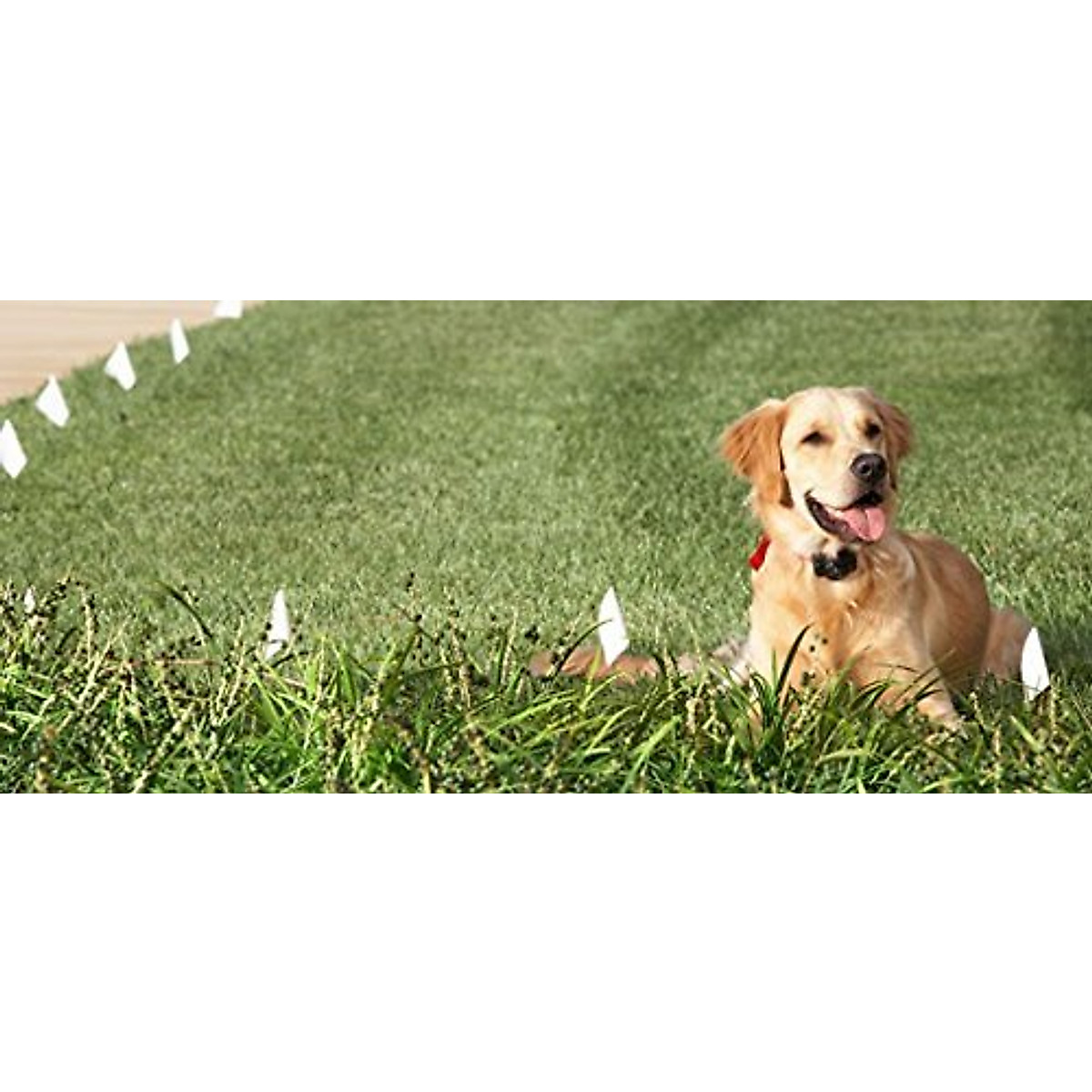 Extreme Dog Fence 16 Gauge Wire 1500 Ft - Heavy Duty Pet Containment Wire Compatible with Every In-Ground Fence System for Dogs - Heavy Duty Hybrid Extra Strength Steel…