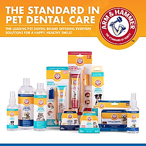 Arm & Hammer for Pets Combo Pack Dog Dental Tartar Control Water Additive and Fresh Breath Vanilla Ginger Enzymatic Toothpaste | Includes 16 Oz Dog Water Additive and 2.5 oz Dog Toothpaste
