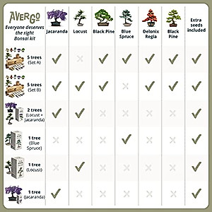 Bonsai Starter Kit – 1x Bonsai Tree | Complete Indoor Starter Kit for Growing Plants with Bonsai Seeds, Tools & Planters – Gardening Gifts for Women & Men