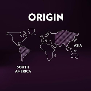 Lavazza Expert Espresso Intenso x2 Coffee Capsules, Intense, Dark Roast, Arabica, Robusta, notes of dried fruit, Intensity 11 out 13, Blended and Roasted in Italy, (36 Capsules)