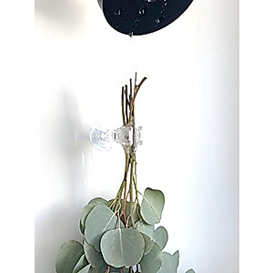 4 Pack - Suction Cup Holder Clip for Plants, Decor, Eucalyptus & Herbs - Hold Plants & Essential Oil Herbs in Place on Glass & Shower Artificial Eucalyptus Garland, Leaves, Vines, Home Decor