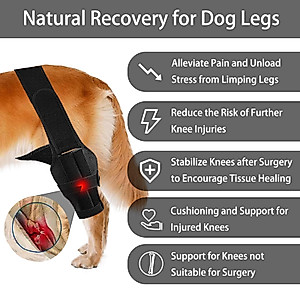 Dog Knee Brace for Torn ACL Hind Leg-Upgraded Dog Leg Brace for Cruciate Ligament Injury,Adjustable Support for Joint Pain,Muscle Soreness,Knee Cap Dislocation (Medium)