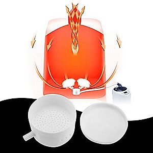 Ejoyous Sauna Steamer Machine for Home, 2L Portable Sauna Steam Generator Fumigation Machine Stainless Steel Pot with Intelligent Remote Control for Sauna Spa Tent Body Detox, US Plug