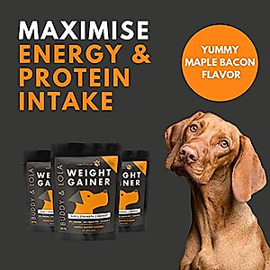 Buddy & Lola Dog Weight Gainer - Dog Supplement for Weight Gain - Dog Protien Powder for Max Muscle Builder, High Calorie Supplement for All Dogs & Breeds inc Bully. Pro Food Topper - Made in The USA