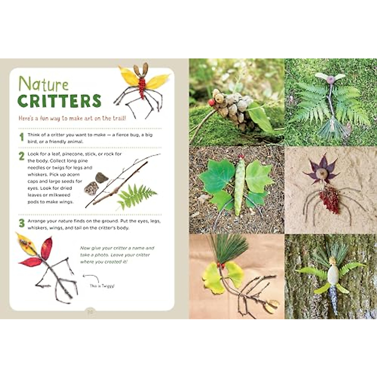 Backpack Explorer: On the Nature Trail: What Will You Find?