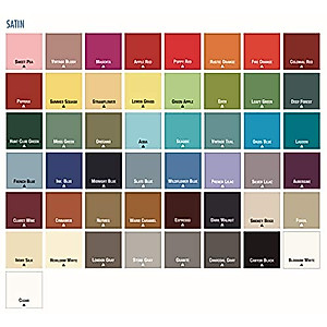 Rust-Oleum 346951-6PK Painter's Touch 2X Ultra Cover Spray Paint, 12 oz, Satin Canyon Black, (Pack of 6)