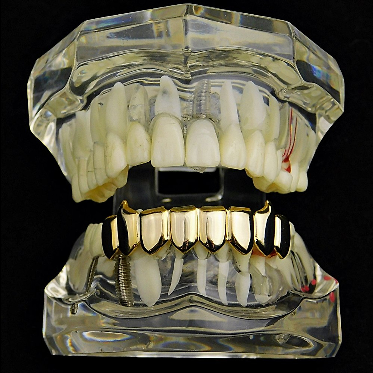 Fang Grillz 14k Gold Plated 8 Bottom Teeth Fangs Eight Piece Slugs Hip Hop Vampire Mouth Grills