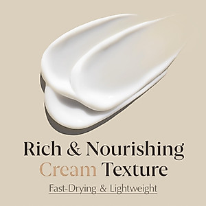 HAYEJIN RiceFila Rice Moisturizer Face Cream | Day and Night Moisturizer for Face Hydrating Face Cream Natural Rice Vegan Face Moisturizer for Dry Skin | K Beauty Face Lotion Rice Cream (1.69 Fl. Oz)