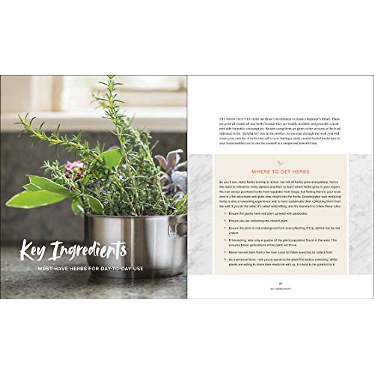 Master Recipes from the Herbal Apothecary: 375 Tinctures, Salves, Teas, Capsules, Oils, and Washes for Whole-Body Health and Wellness