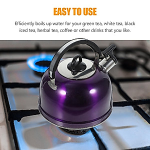Luxshiny Stainless Steel Spherical Kettle Kettle Large Capacity Flat Bottom Kettle Chime Kettle Electric Water Heater Pink Tea Kettle Camping Kettle Whistling Pot Purple Coffee Boiler
