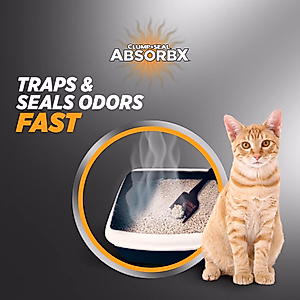 ARM & HAMMER Clump & Seal AbsorbX Platinum Lightweight Quick Absorbing Scented Multi-Cat Clumping Cat Litter with 10 Days of Odor Control, 18 lbs.