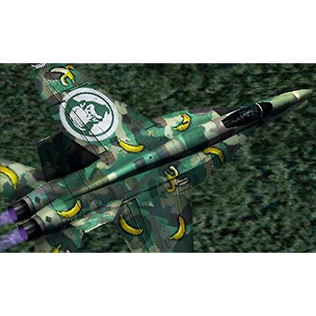 Ace Combat Assault Horizon Legacy +