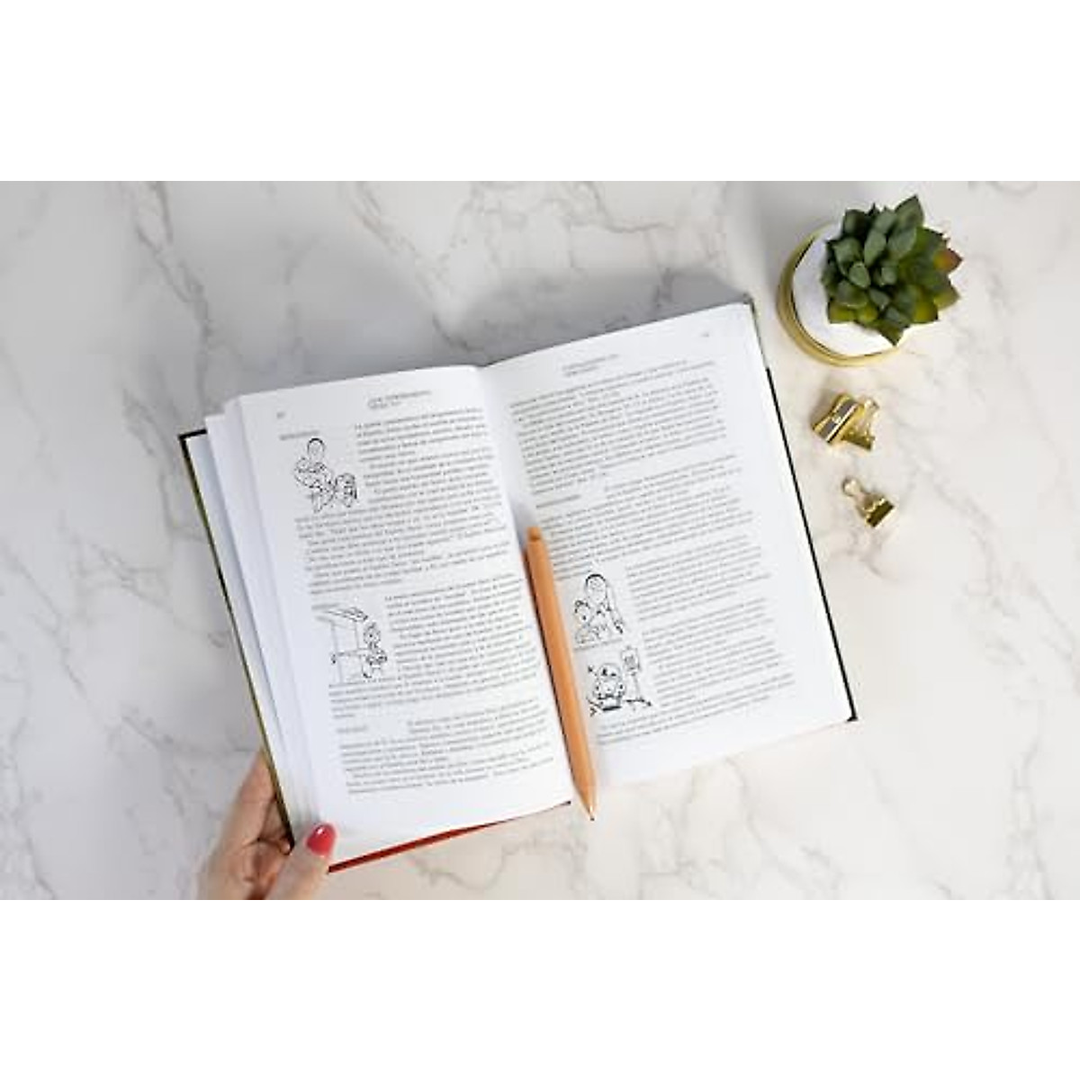 Manual del temperamento/ Your Temperament Discover Potential (Spanish Edition)