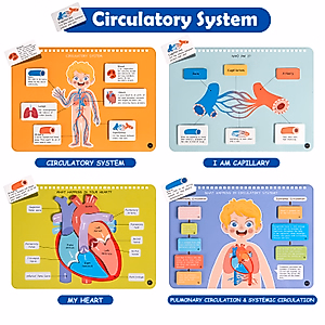 Freebear Montessori Busy Book for Kids, Human Body Anatomy Book for Toddlers, Preshool Kindergarten Learning Activities, Autism Sensory Toys, Travel Toys, Gifts for Girls and Boys 4 5 6 7 8 Years