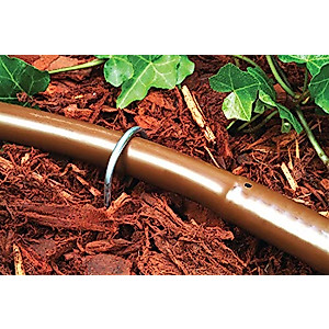 Rain Bird GS50/10PS Drip Irrigation 6" Galvanized Wire Stake for 1/2" Tubing, 10-Pack - Packaging May Vary
