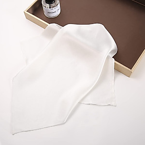 DAISYSILK Silk Pocket Squares for Men Silk White Hankerchief Mulberry Lvory Silk Pocket Square for Men Lvory Pocket Squares 12"x12" Father's Day Christmas Valentine's Day Gifts, Iovry